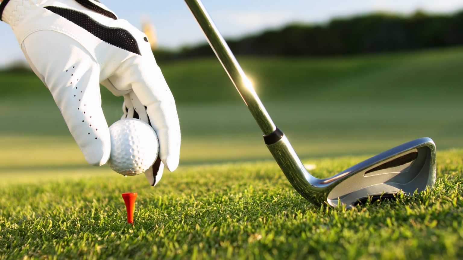 Apex Golf